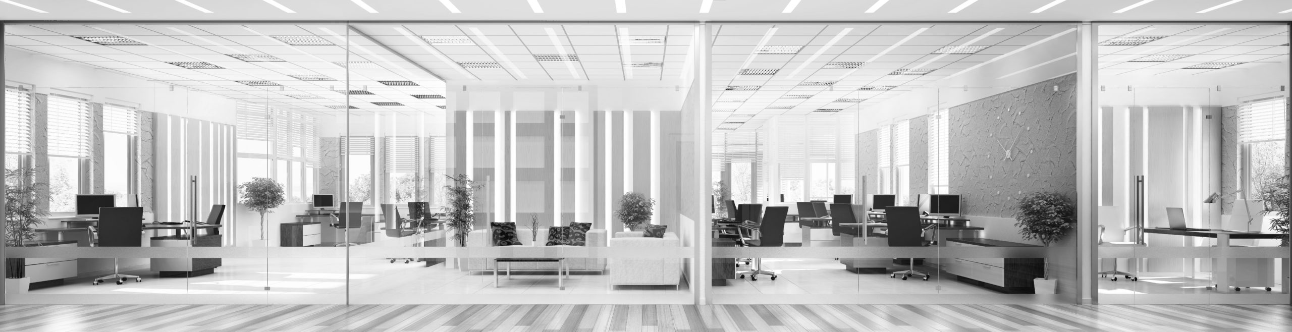 Contacto - Office Staging